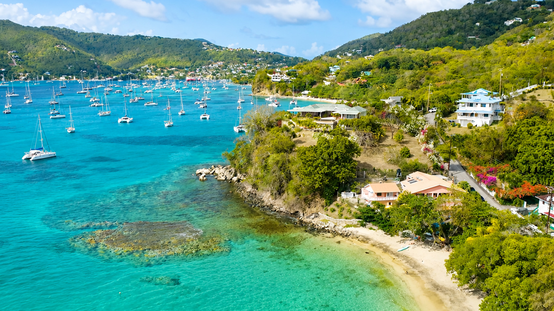 What makes this harbor so popular?