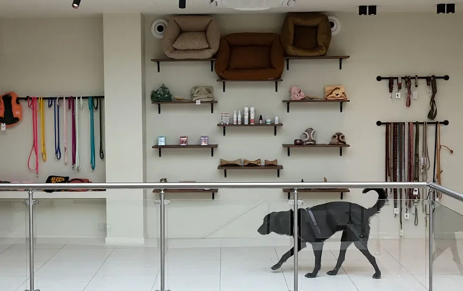 Choosing and raising a well-behaved dog