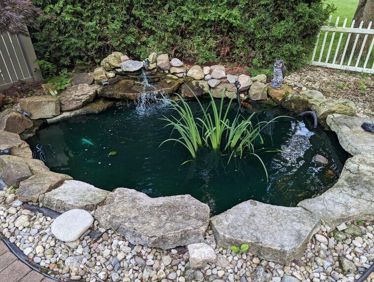 Backyard features that seemed like a great idea and turned into a ...