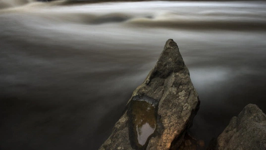 Trump admin overrode warnings on Rock Creek Park lease plan