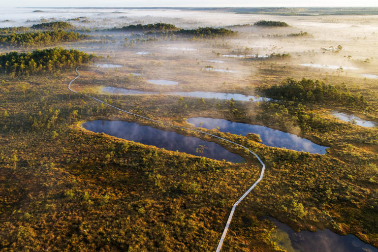 The European destinations on the 'green' travel list for 2026: 'Forces ...