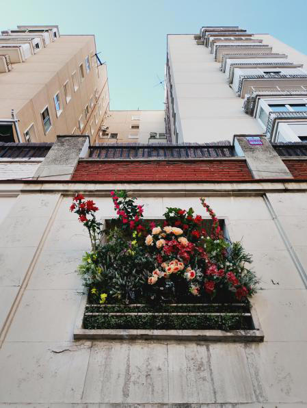 Florecidos balcones y ventanas de Madrid