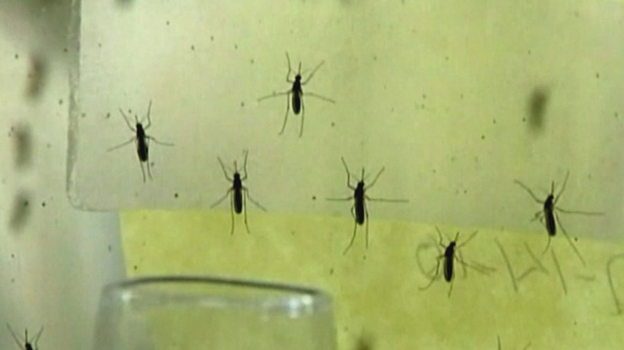 West Nile virus found in Grand Rapids, Wyoming mosquitoes