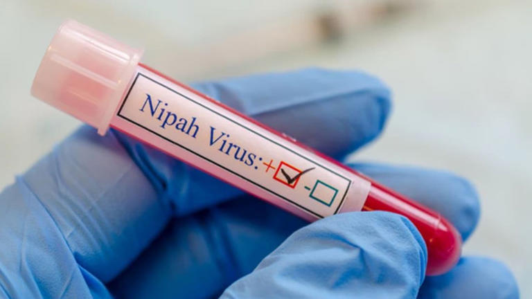 Nipah in India: Why Kerala and West Bengal face the same virus but ...