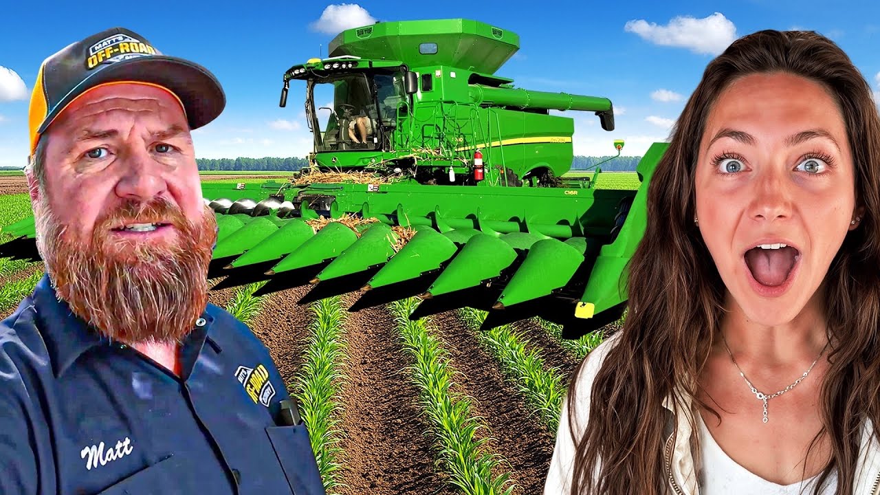 Farming for the first time in 40 years