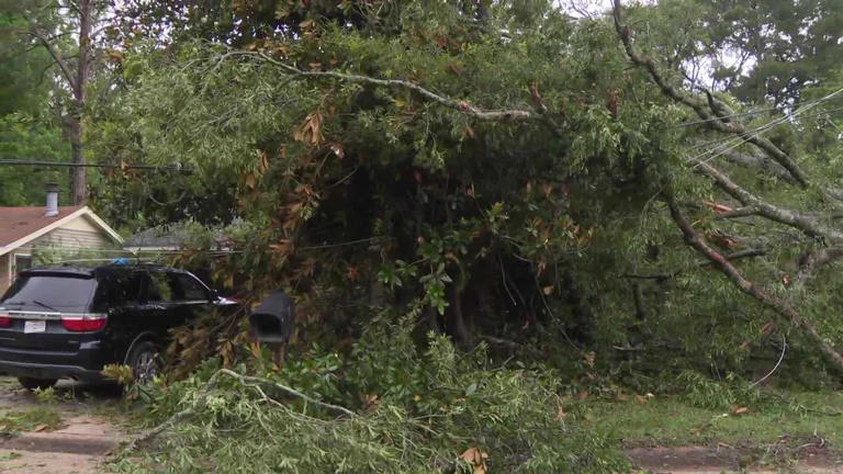 Massive tree falls on house, leaving Jackson family without a place to stay