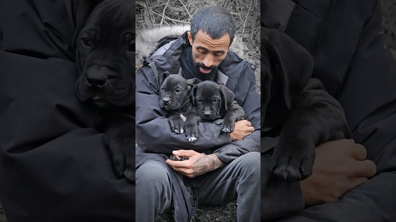 What would you name these adorable puppies