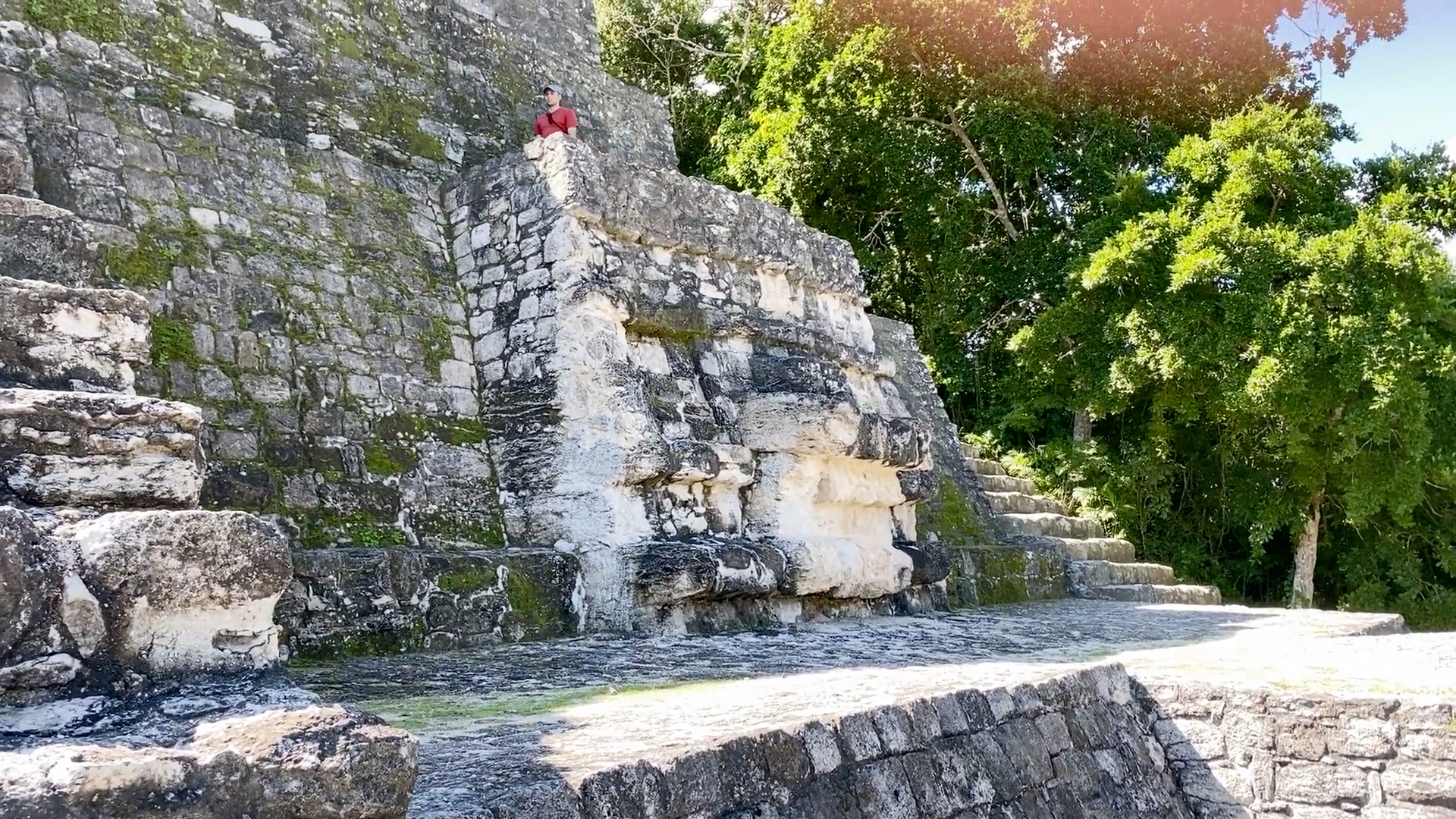 Calakmul secrets of a lost Maya empire