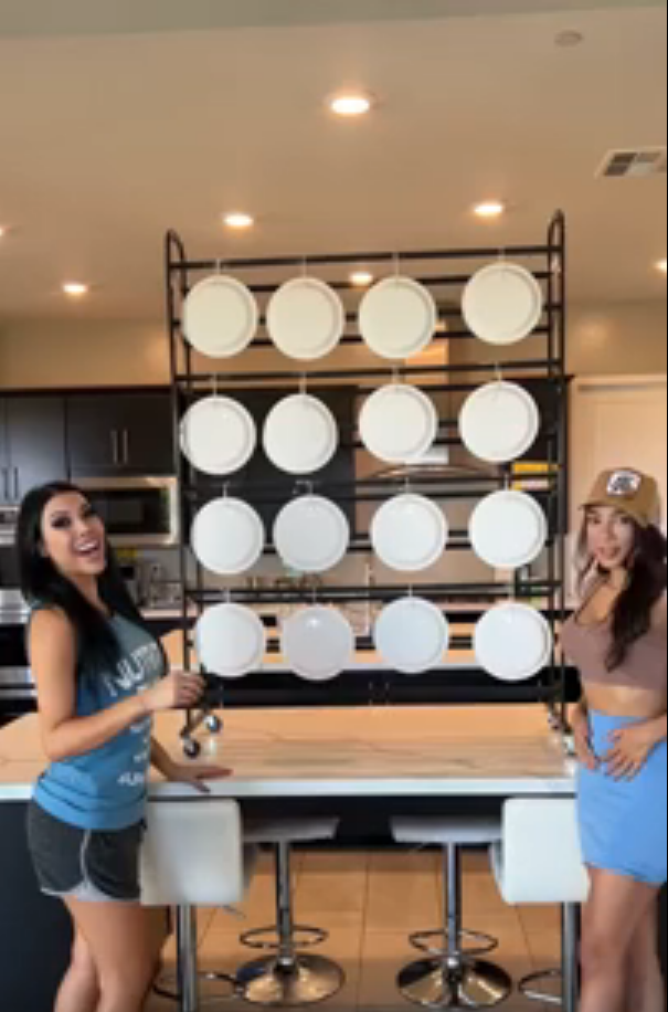 Exciting plate game challenge
