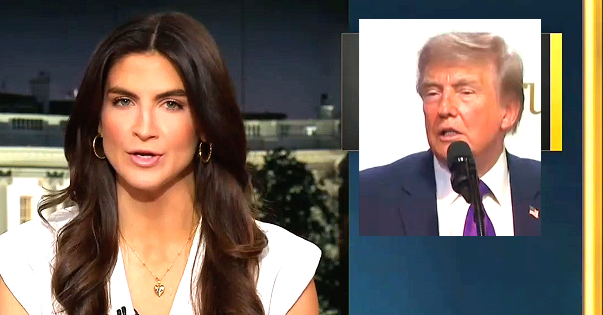 CNN’s Kaitlan Collins calls out ‘remarkable’ revolt against Trump’s ...
