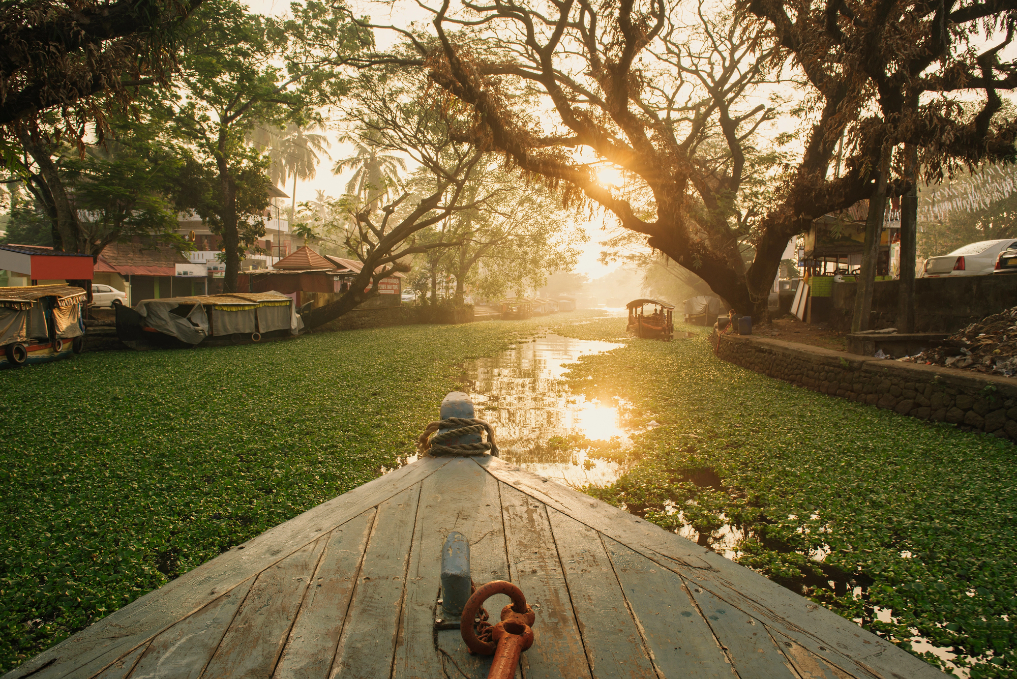 20 things to see in Kerala, India