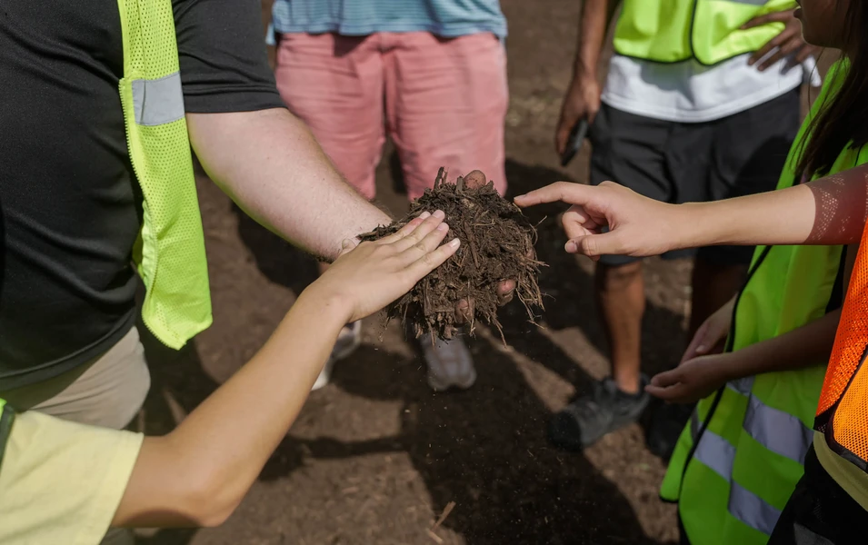 Healthy soil hacks every gardener needs
