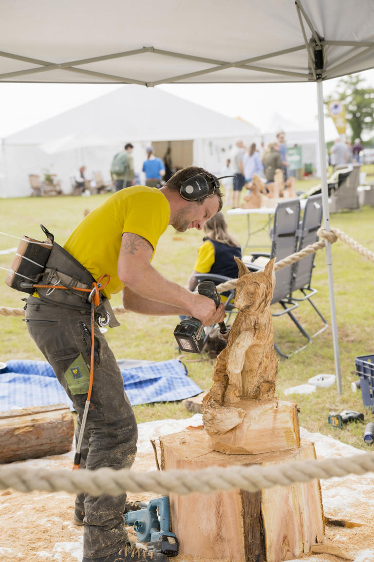 Unique celebration of farming, food and family fun as Kenilworth Show ...
