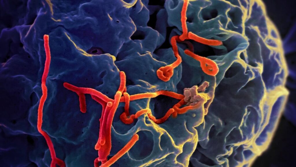 Cos’è un cluster epidemico?