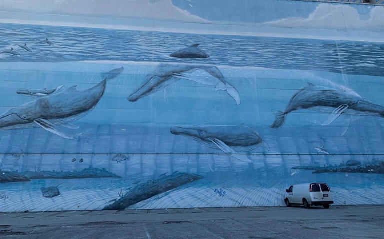Artist Robert Wyland sues for $25 million over painted-over Dallas ...