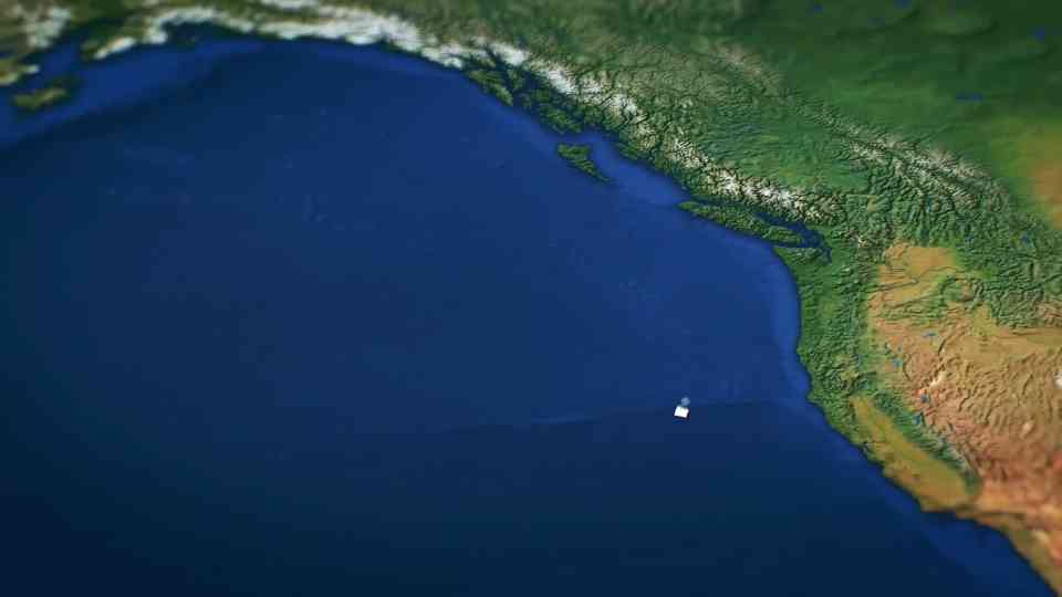 The world's strangest rainforests exist in places nobody expects, "A ...