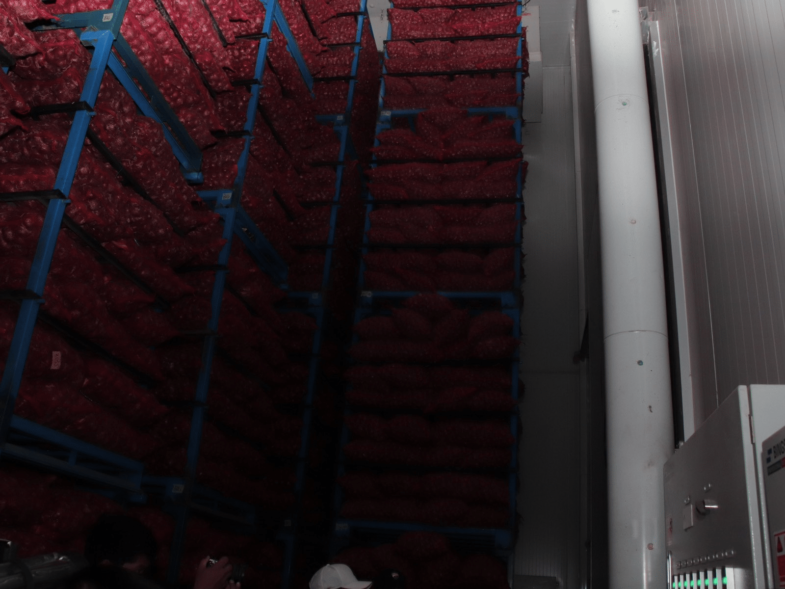 P35.4-M smuggled onions, garlic seized in Nueva Ecija
