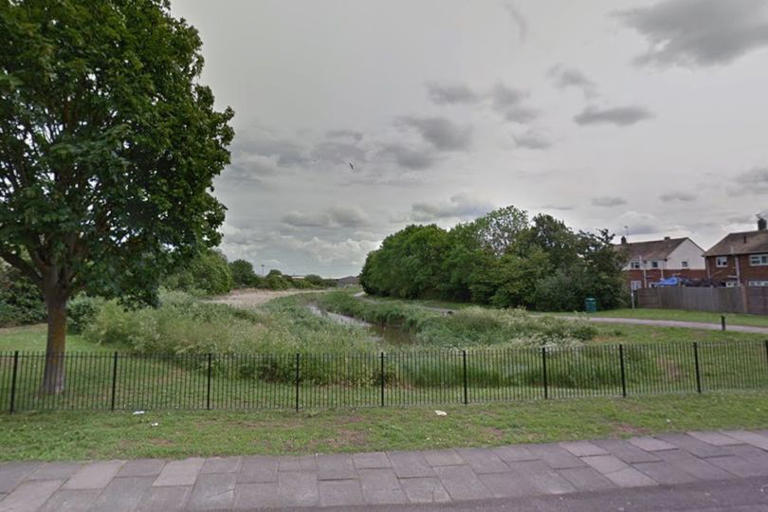 Ducks killed and ducklings injured in Sheerness in suspected catapult ...