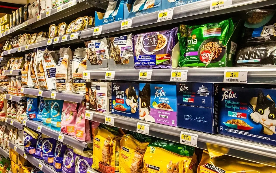 Cracking the code of your cat’s appetite