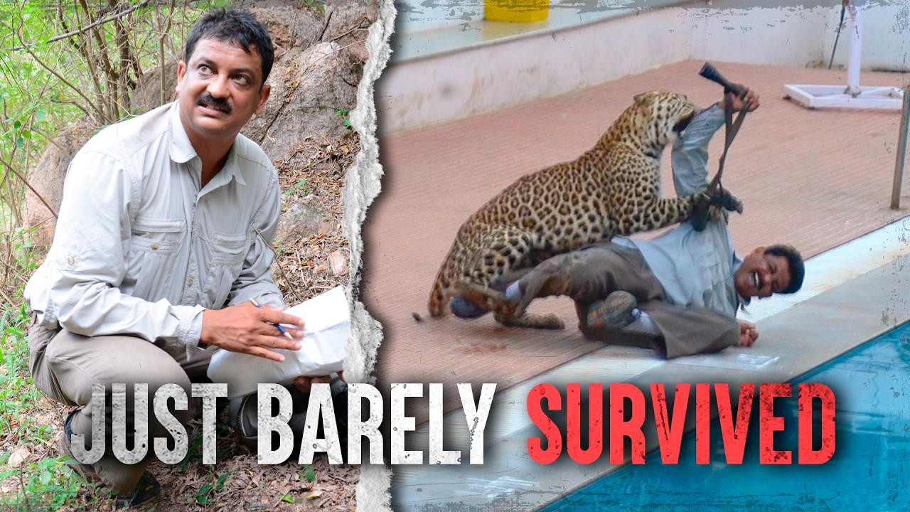 Watch the heroic story of the man who saved a school from a leopard