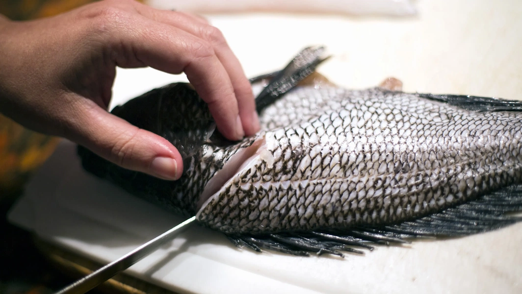 4 best frozen fish sticks