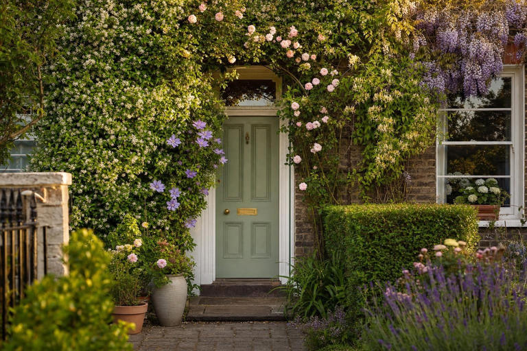 Plant these 5 fast-growing climbers by your front door now for a flower ...