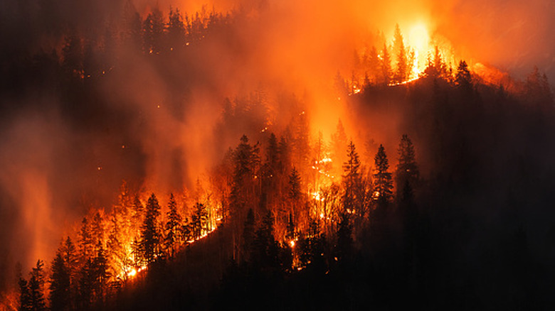 Cars are among the leading causes of wildfires