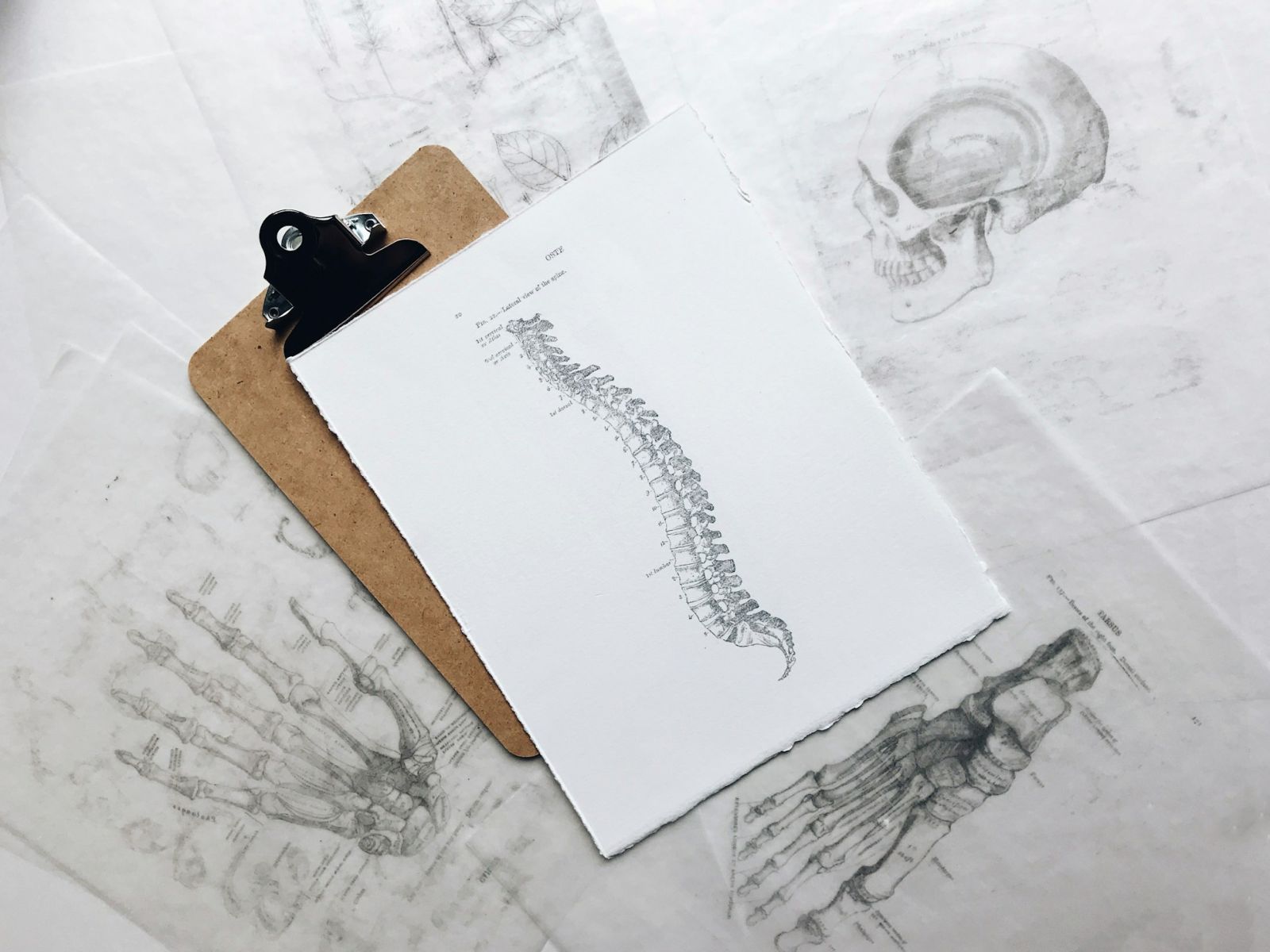 🧬 The human body: such an imperfect machine