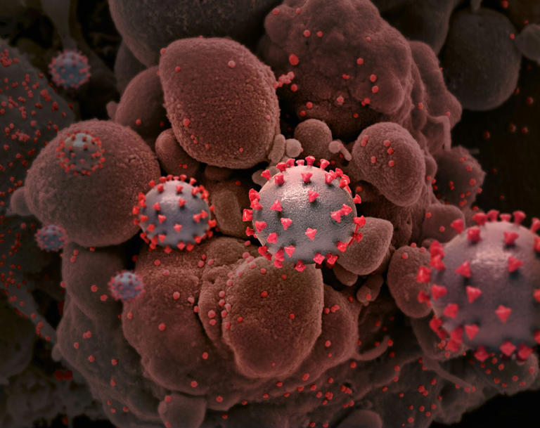 🦠 Some serious viral infections explained by an abnormality