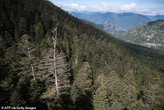 CIA 'psychic spy' claims four alien bases are hidden on Earth