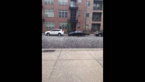 US: Hailstorm sweeps through Denver metro, causing tree damage and road ...