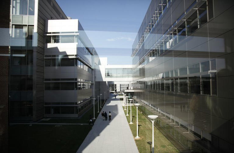 US FDA proposes using existing science to speed up gene therapy development