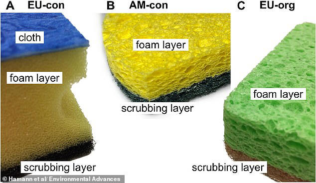 Your kitchen sponge can release millions of dangerous microplastics ...