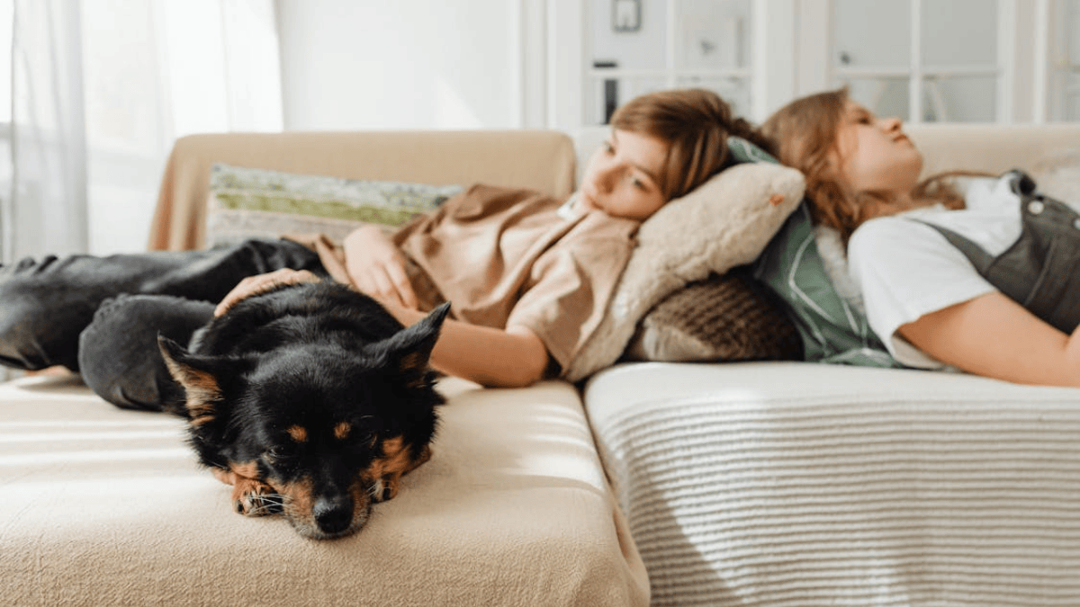If your dog watches you while you sleep (here's what it means)