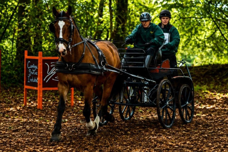 Horse Week: Successful day of competition at Waringstown ODE for NICDA ...