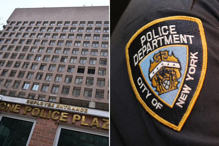Sicko NYPD cops allegedly mercilessly harassed deaf Asian department ...