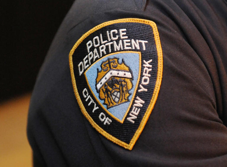 Sicko NYPD cops allegedly mercilessly harassed deaf Asian department ...