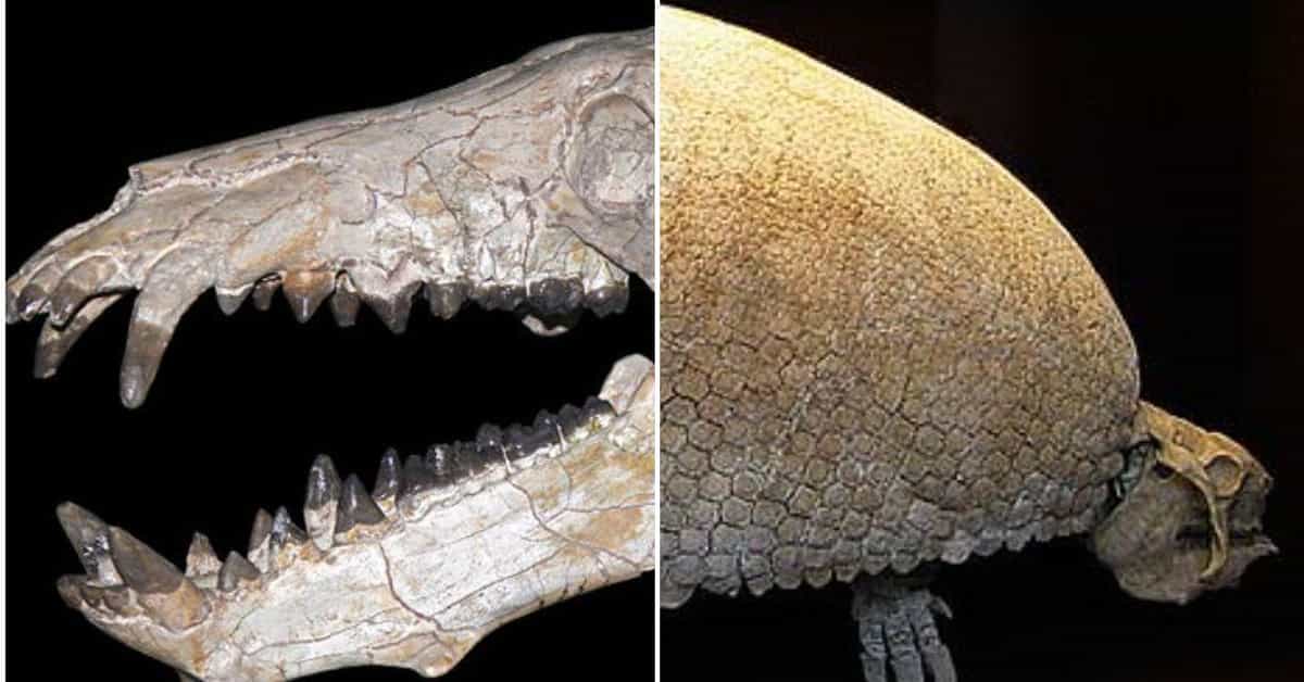 Prehistoric animals that sound made-up but aren't