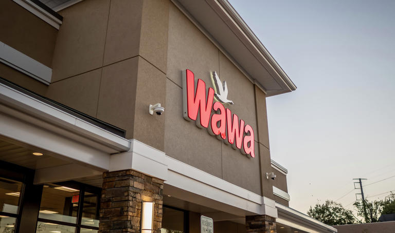 He’s accused of stealing a car at Wawa with 2 kids inside — but he’s no ...