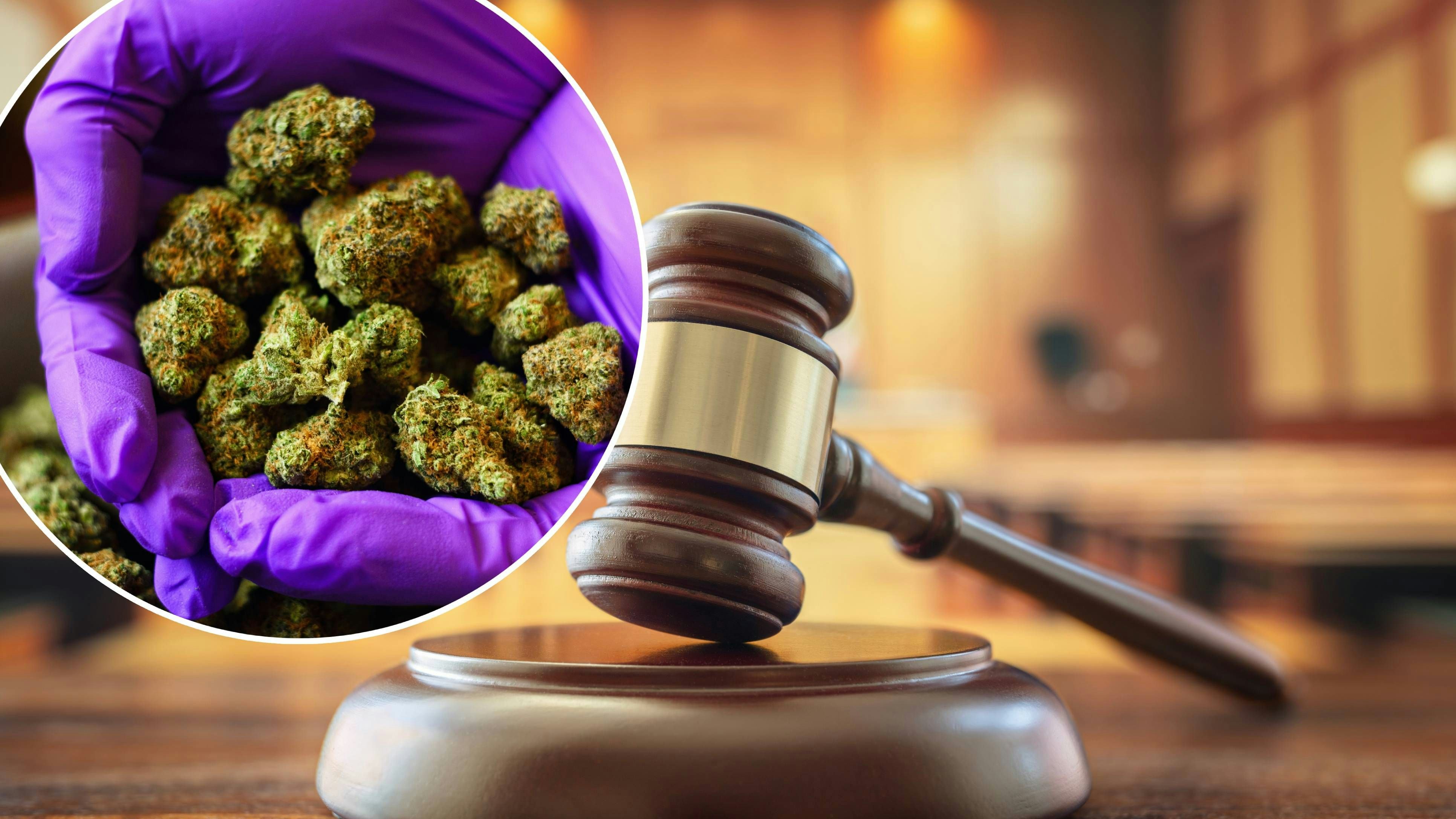 Dealer verkauft 122 Kilo Drogen um 700.000 Euro