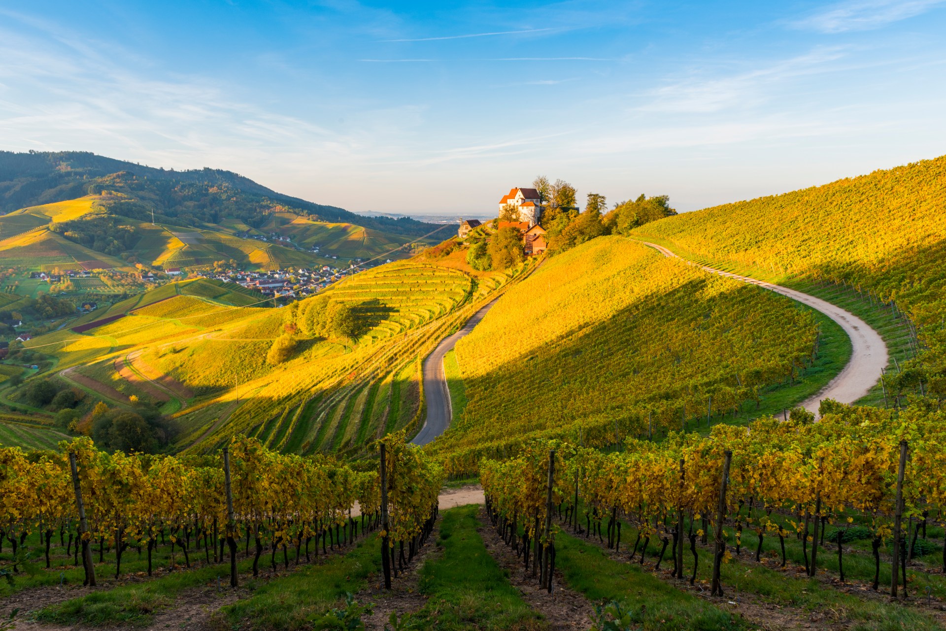 The European destinations on the 'green' travel list for 2026: 'Forces ...
