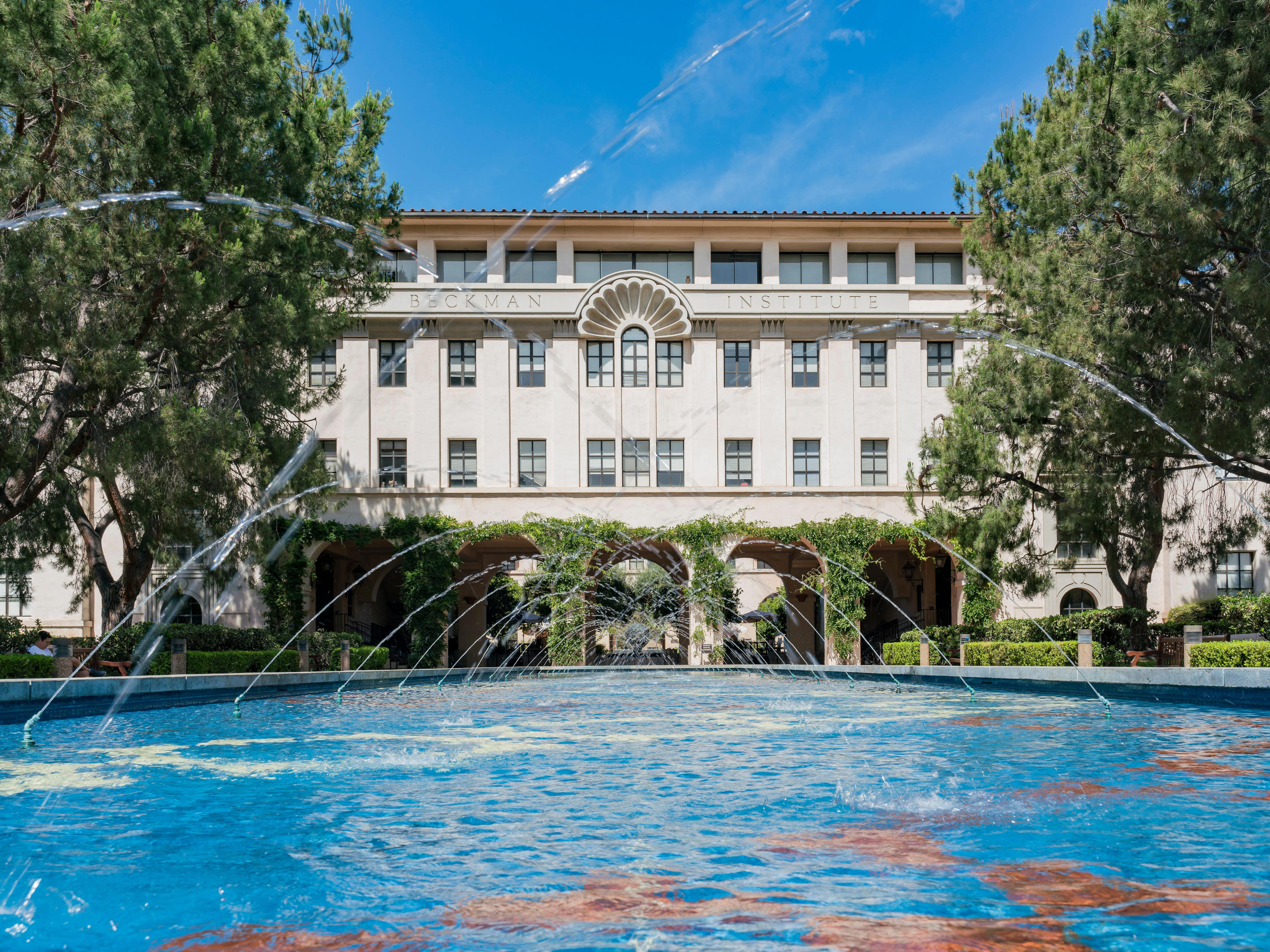 The 35 hardest colleges to get into in America