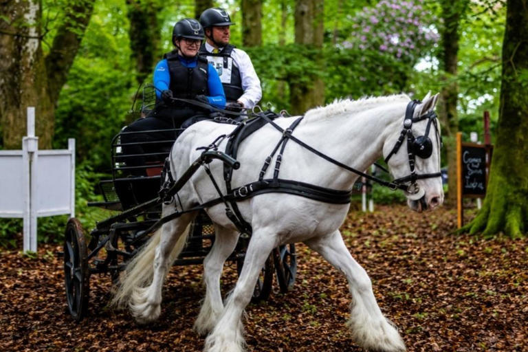 Horse Week: Successful day of competition at Waringstown ODE for NICDA ...