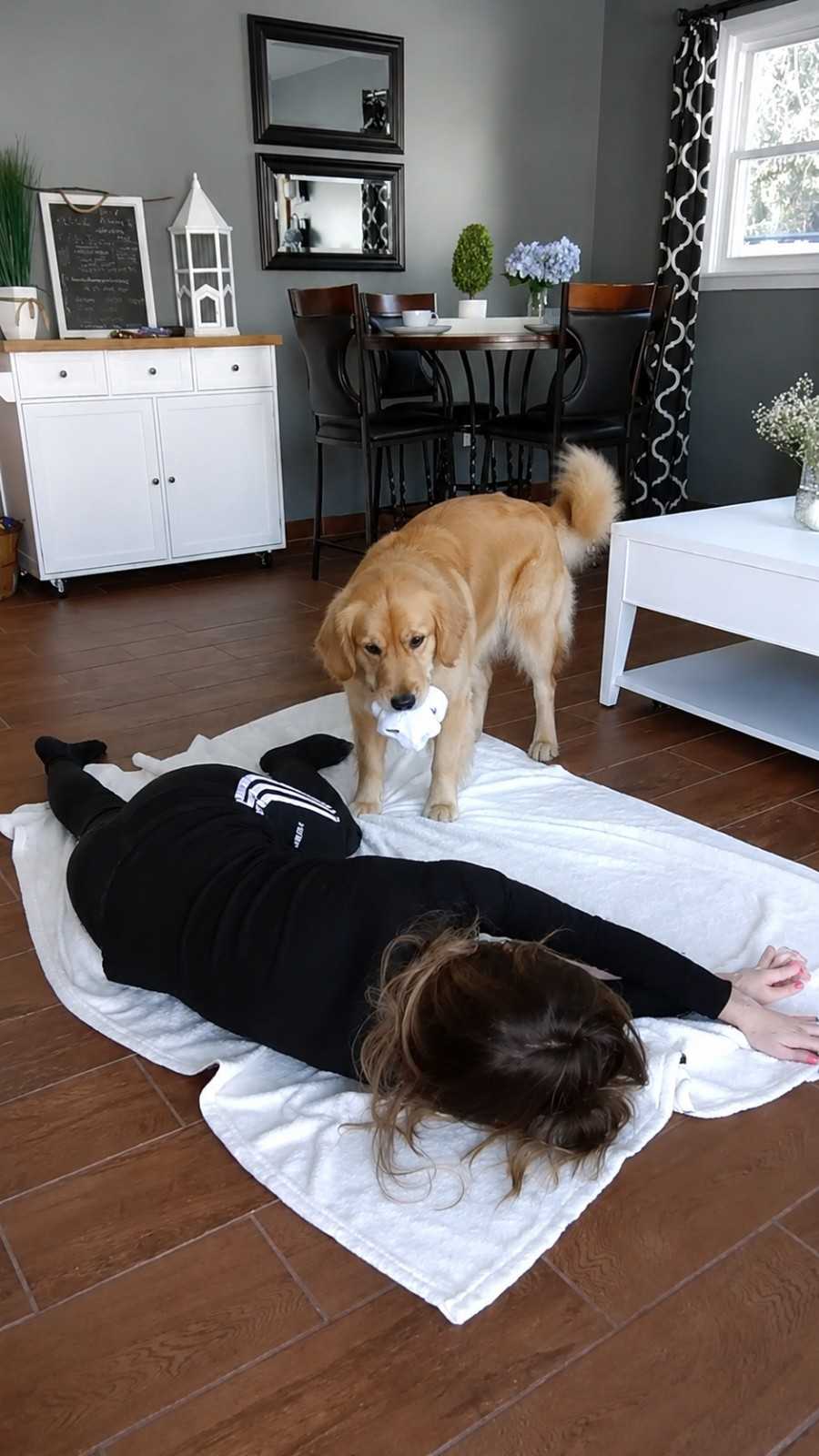 Faking my death made my dog panic