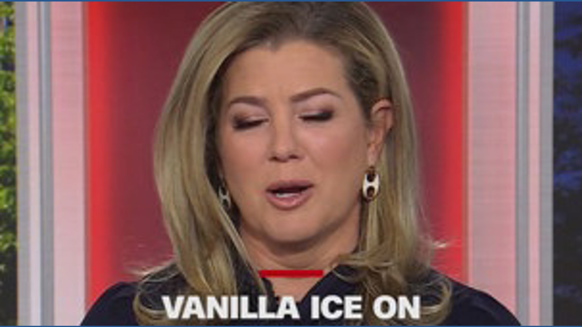 Vanilla Ice on Freedom 250 performance