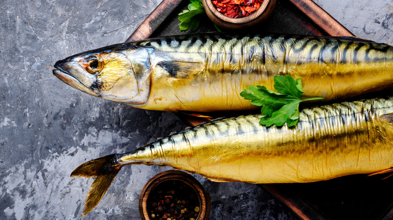 8 fish you can eat regularly and 8 you should avoid