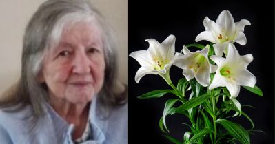 Janet Ann Aiello, 91, of Racine – obituary