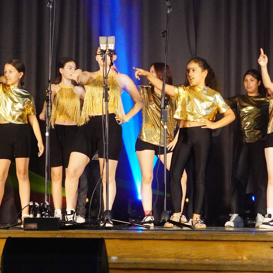 Mit Musical-Darbietungen: Dillingen feierte den 17. Tag der Schulmusik