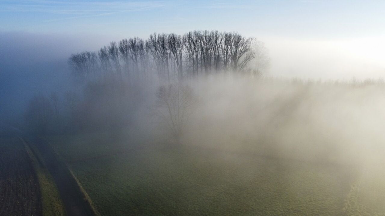Bacteriën in mist breken giftige stoffen af, blijkt uit Amerikaans ...