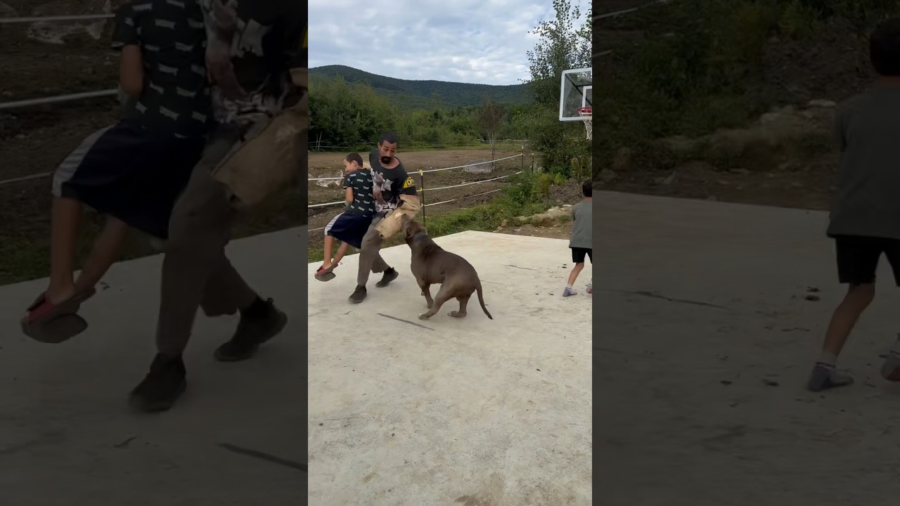 This dog’s personality is impossible not to love